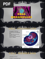 Cell Rap Lyrics | PDF | Cell (Biology) | Cytoplasm