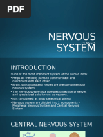 Class 5-Science Notes-The Nervous System | PDF | Brain | Nerve