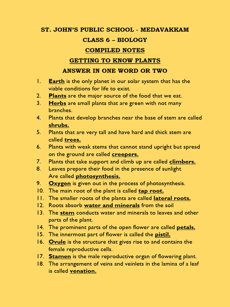 FInal Exam - Compiled Notes - Biology - Grade 6 | PDF | Leaf ...