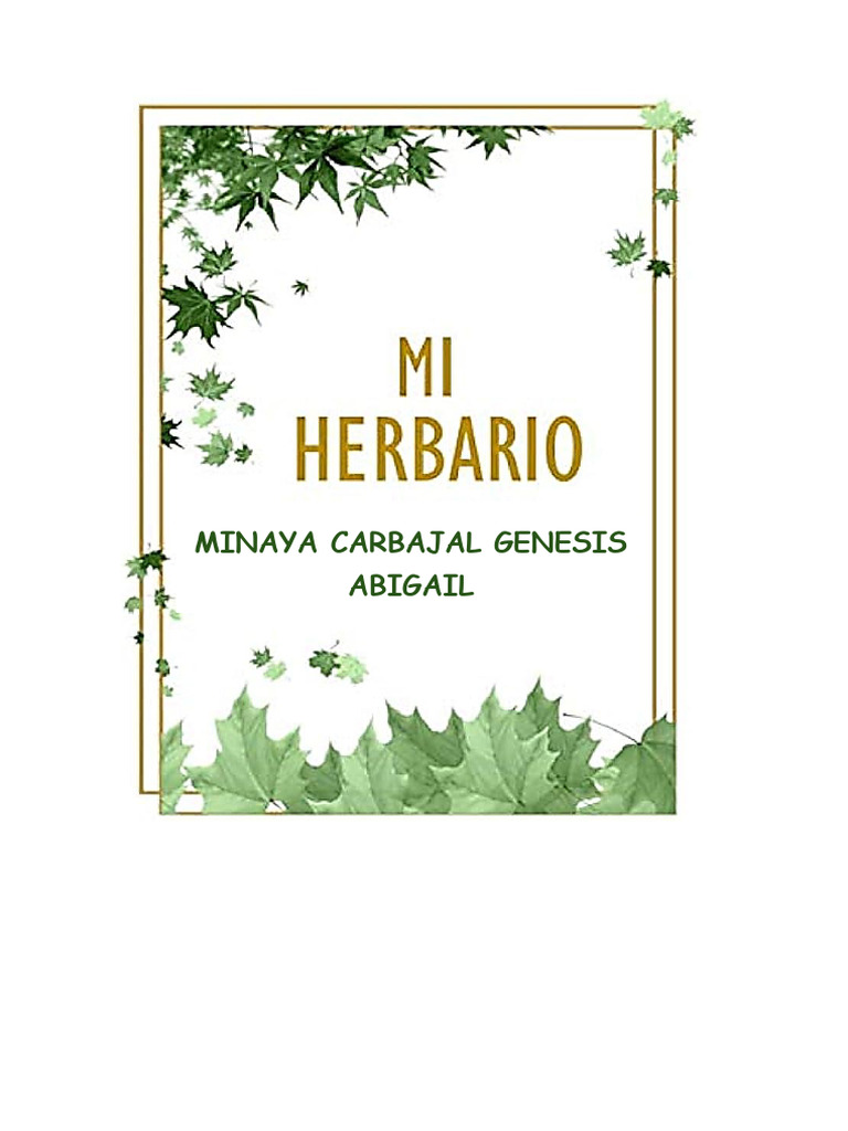 HERBARIO | PDF