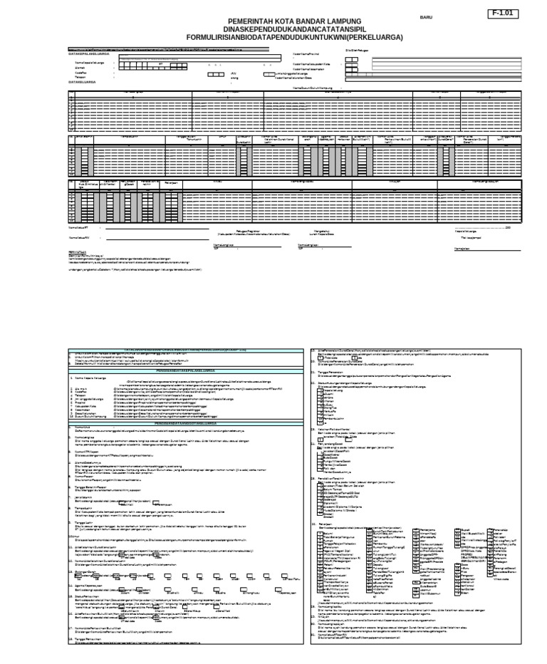 Formulir f1.01) Anida | PDF