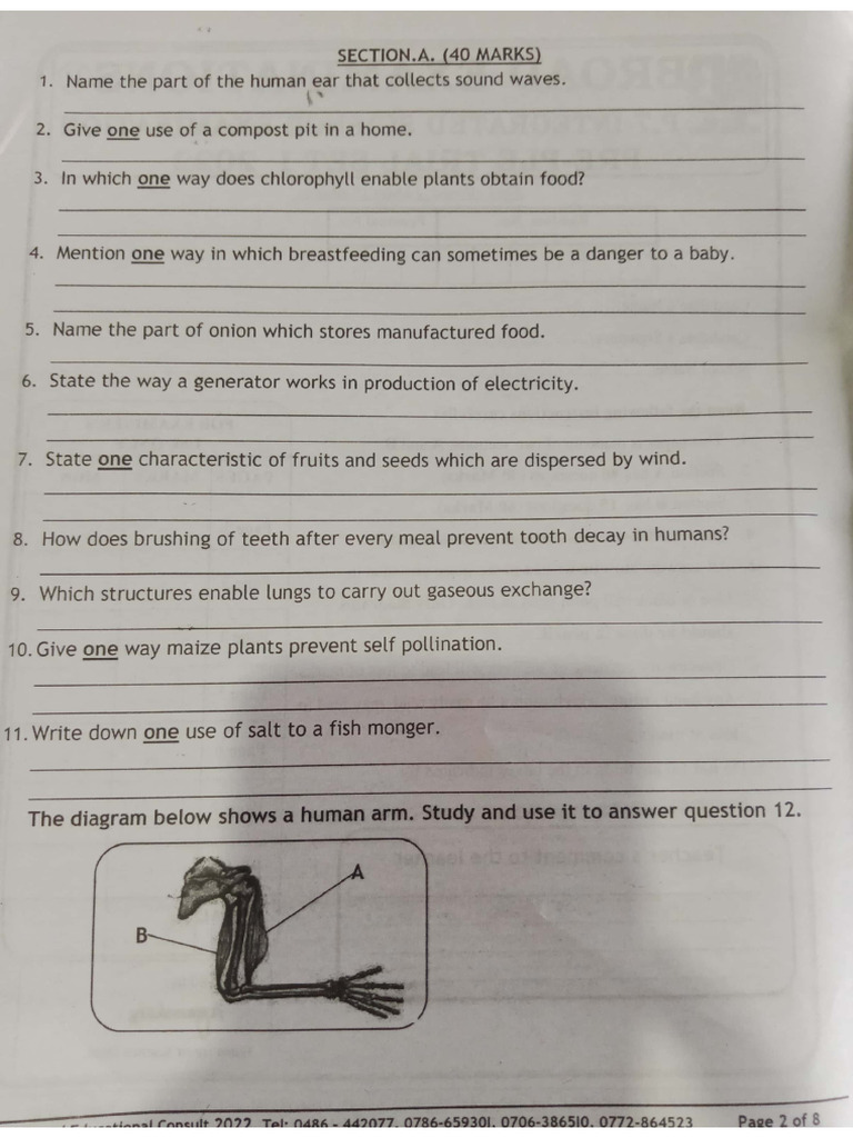 Broad Exams Science Pre Ple Set 1 | PDF