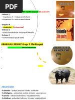 1 Isixhosa HL Worksheeet Notes Grade 11 Drama 11 Nathi Singabantu | PDF ...