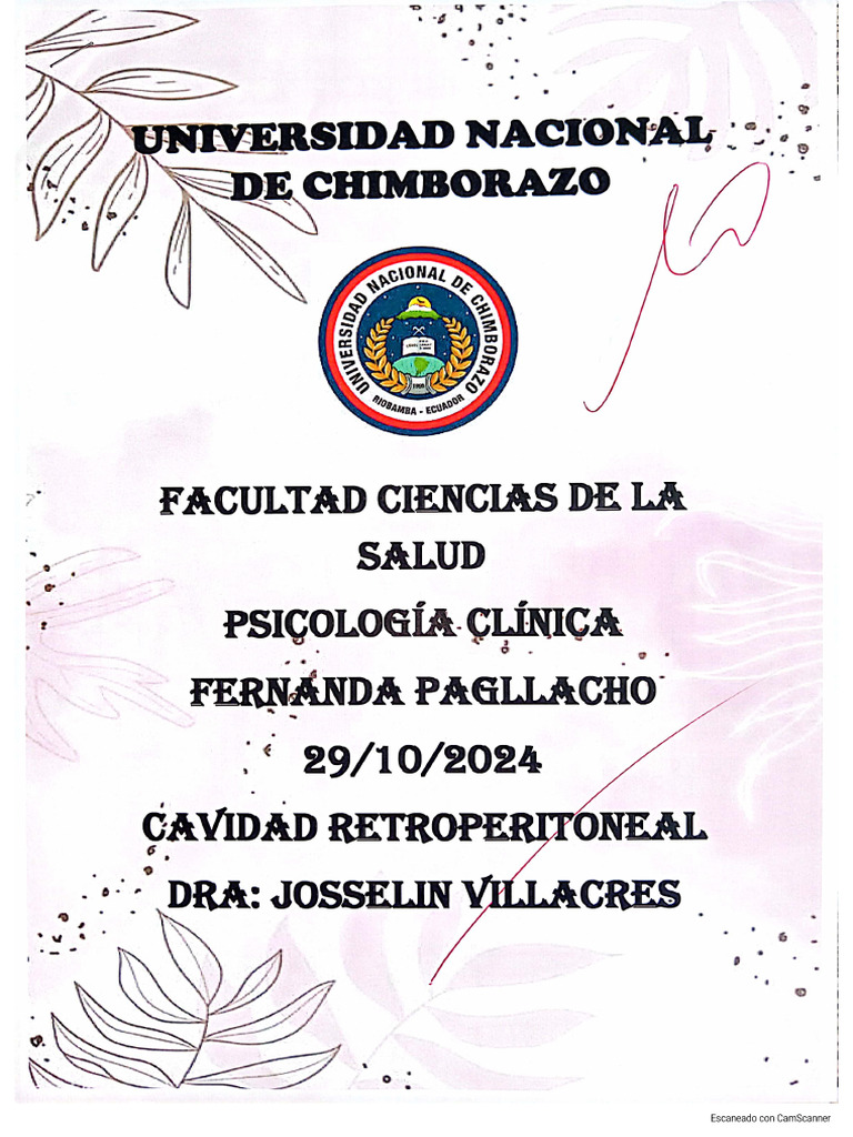 Cavidad Retroperitoneal | PDF