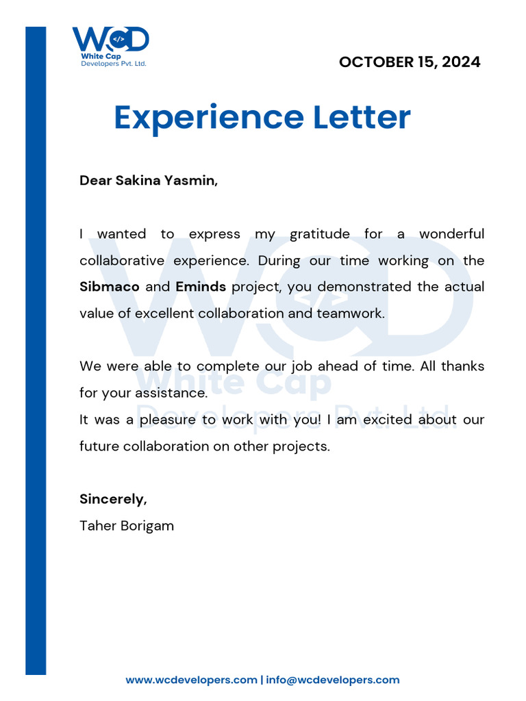 Experience Letter | PDF