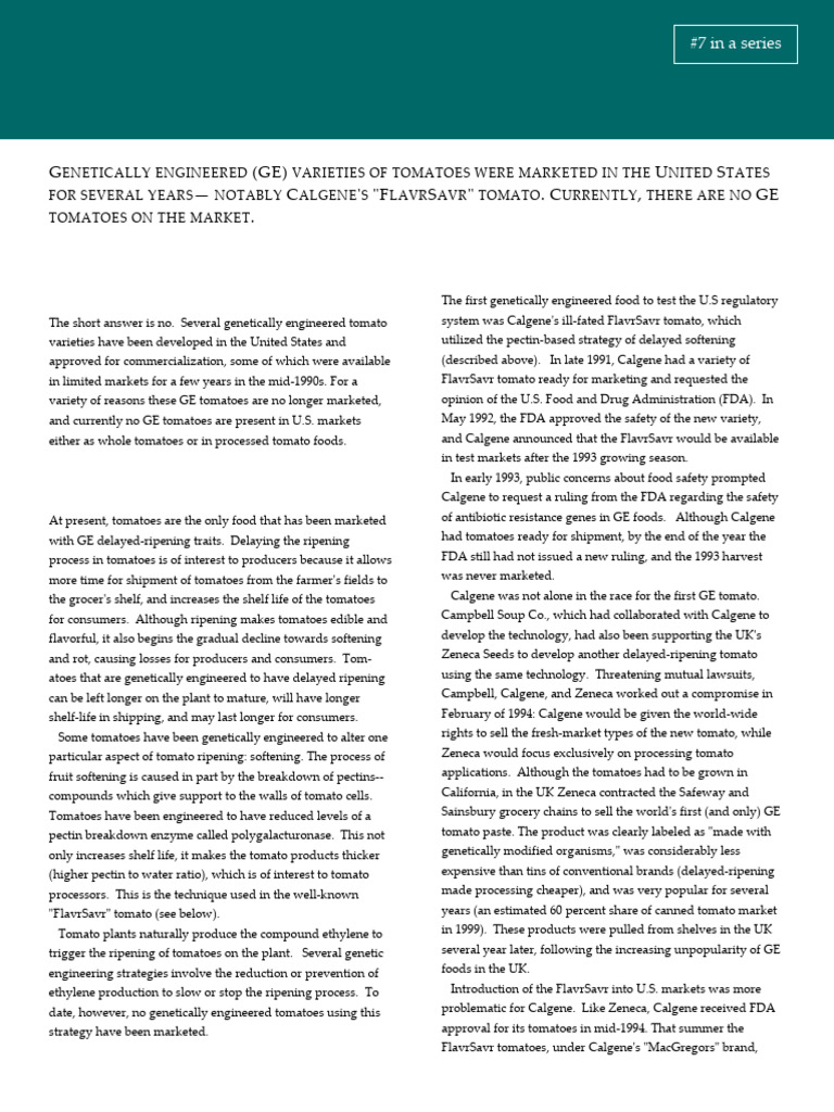 GE Tomatoes | PDF | Tomato