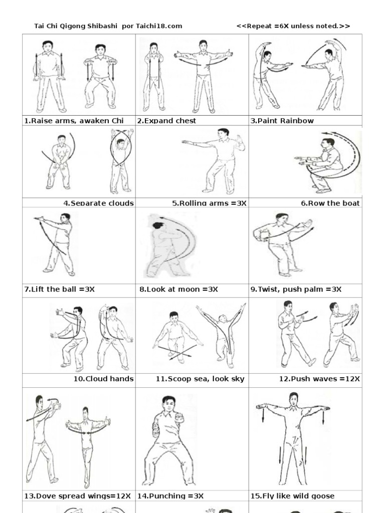 Shibashi Forms Poster-En | PDF