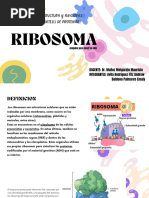 Polisoma - Qué Es, Características, Estructura, Tipos | PDF ...