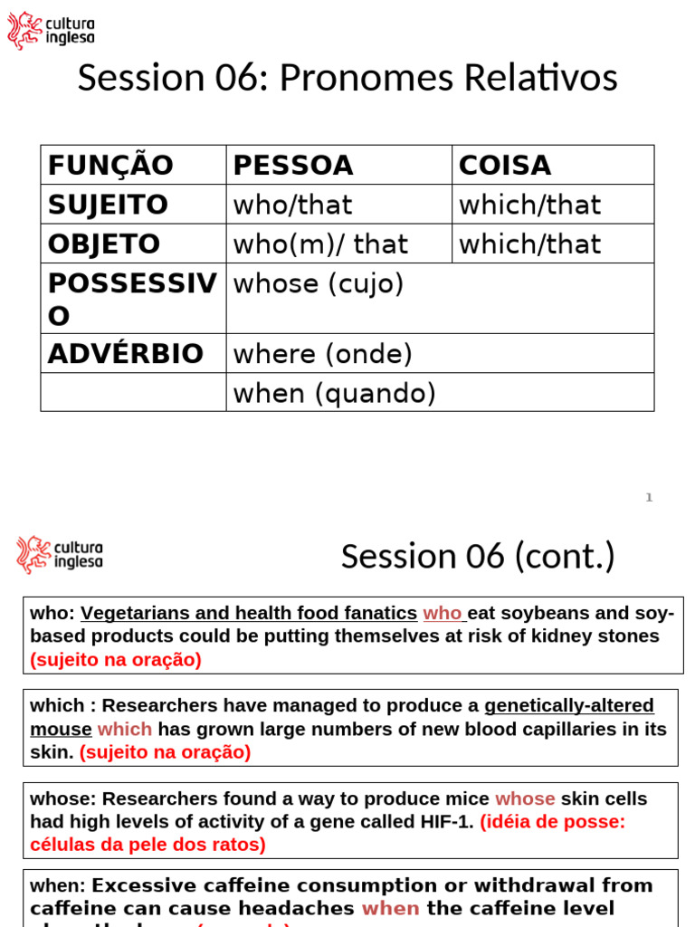 Session 06 - Relative - Pronouns - 2 | PDF