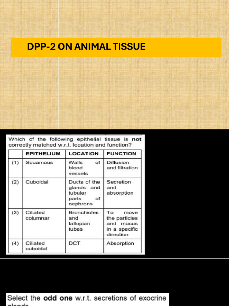 DPP-2 On Animal Tissue | PDF | Science & Mathematics