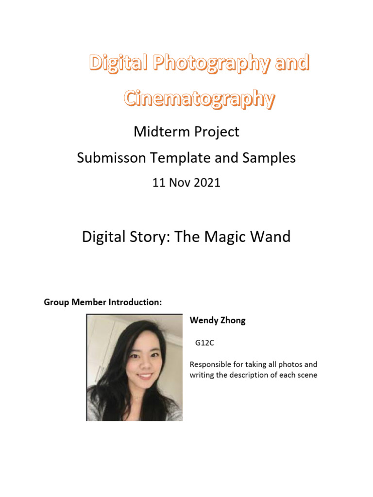 DP Midterm Project Submission Template and Samples | PDF