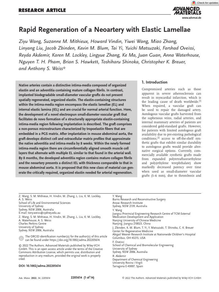 Rapid Regeneration of A Neoartery With Elastic Lamellae | PDF | Tissue ...