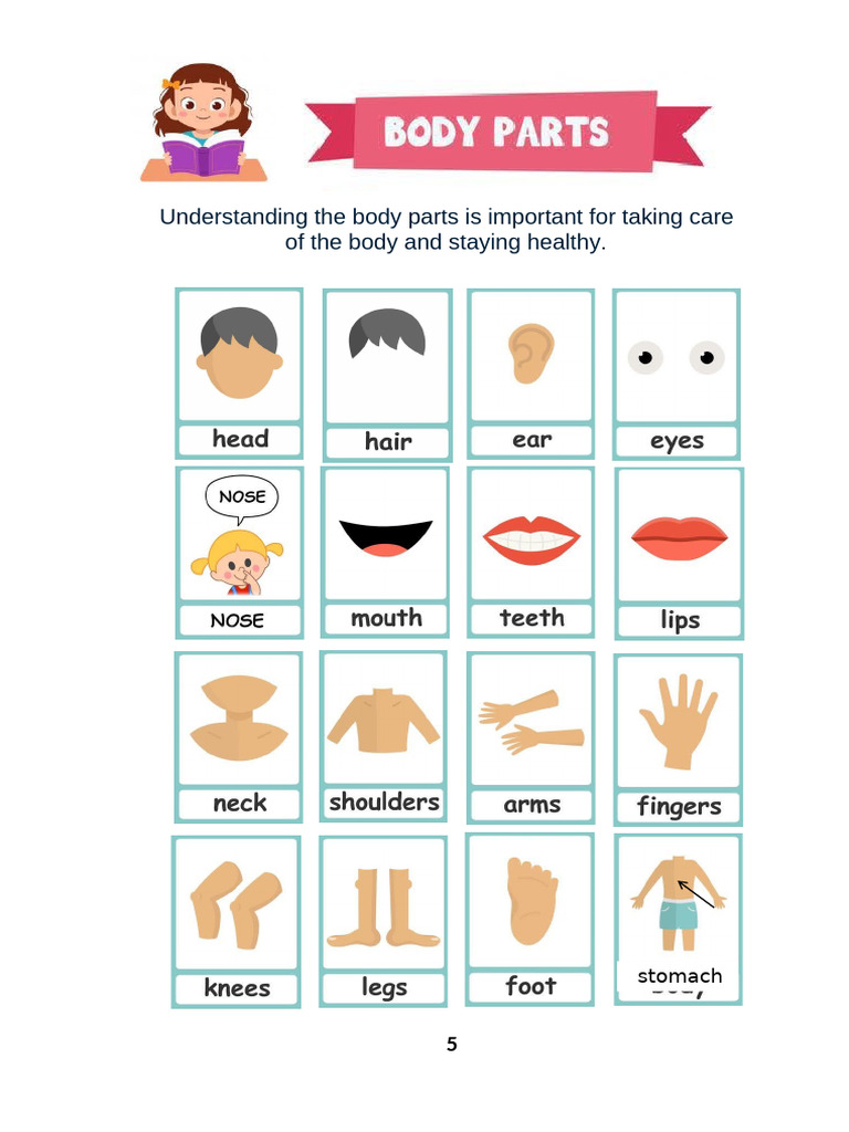 Body Parts for Health Awareness | PDF
