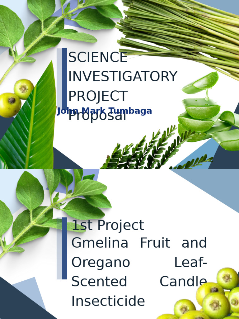 John Mark Tumbaga SIP | PDF | Candle | Shampoo