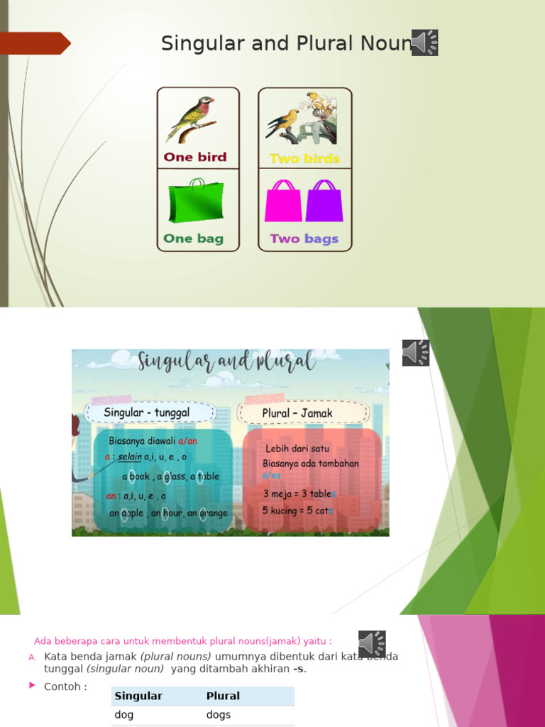 Singular and Plural Nouns | PDF