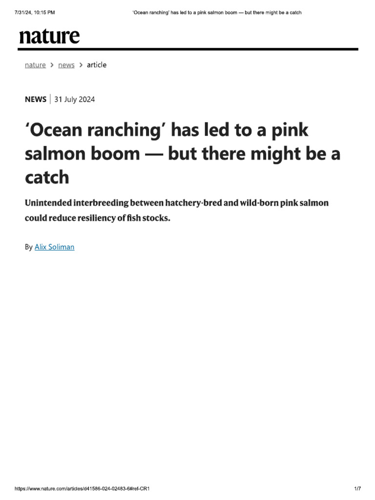 Ocean Ranching' Has Led To A Pink Salmon Boom - But There Might Be A ...