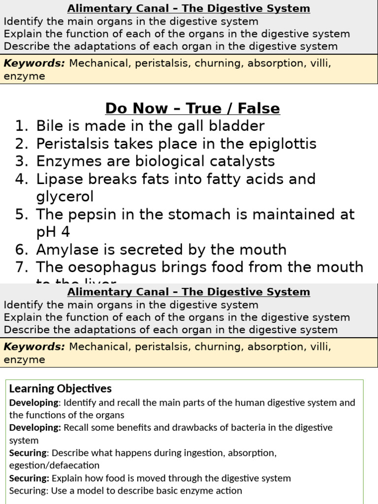 8ad Digestion Powerpoint 2 | PDF | Digestion | Human Digestive System