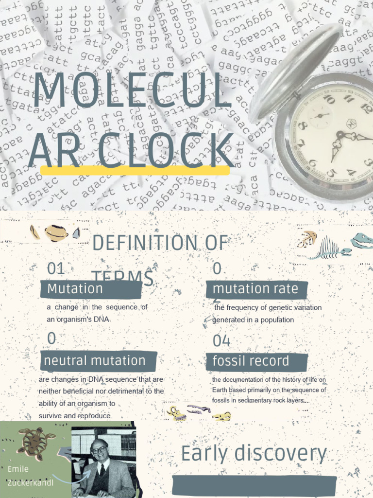 Understanding Molecular Clock Theory | PDF | Molecular Phylogenetics ...