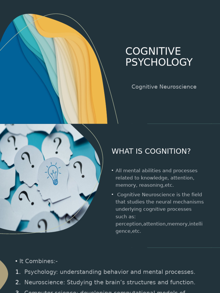 Cognitive Neuroscience Overview | PDF | Functional Magnetic Resonance ...