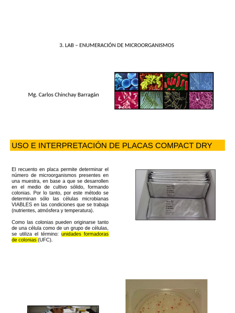 Uso de Placas Compact Dry en Microbiología | PDF | Microbiología ...