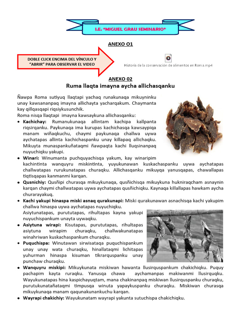 Elaboracion Del Charki | PDF