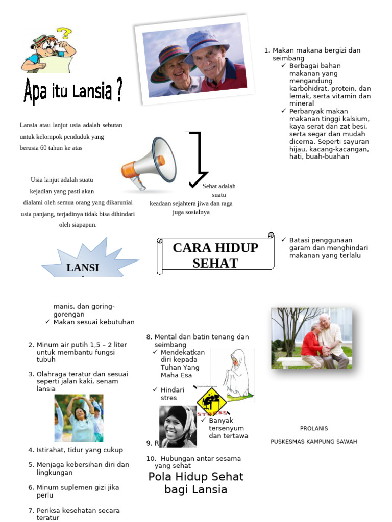 Leaflet Pola Hidup Sehat Lansia | PDF