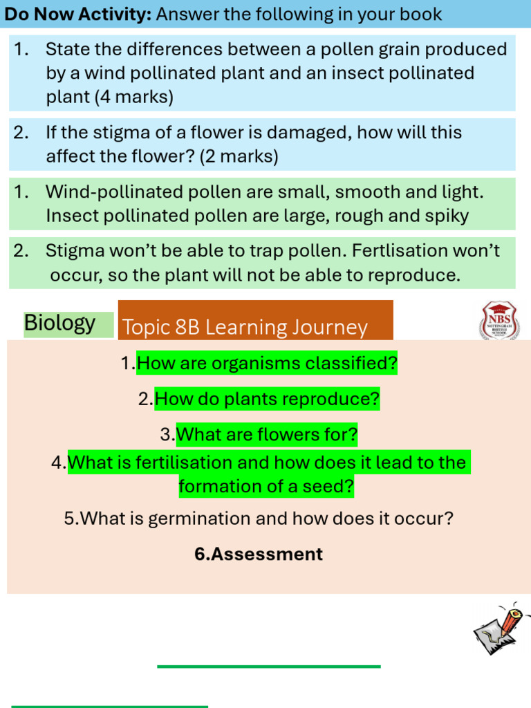 Topic 8B (Plants) - Lesson 4 | PDF | Seed | Fertilisation