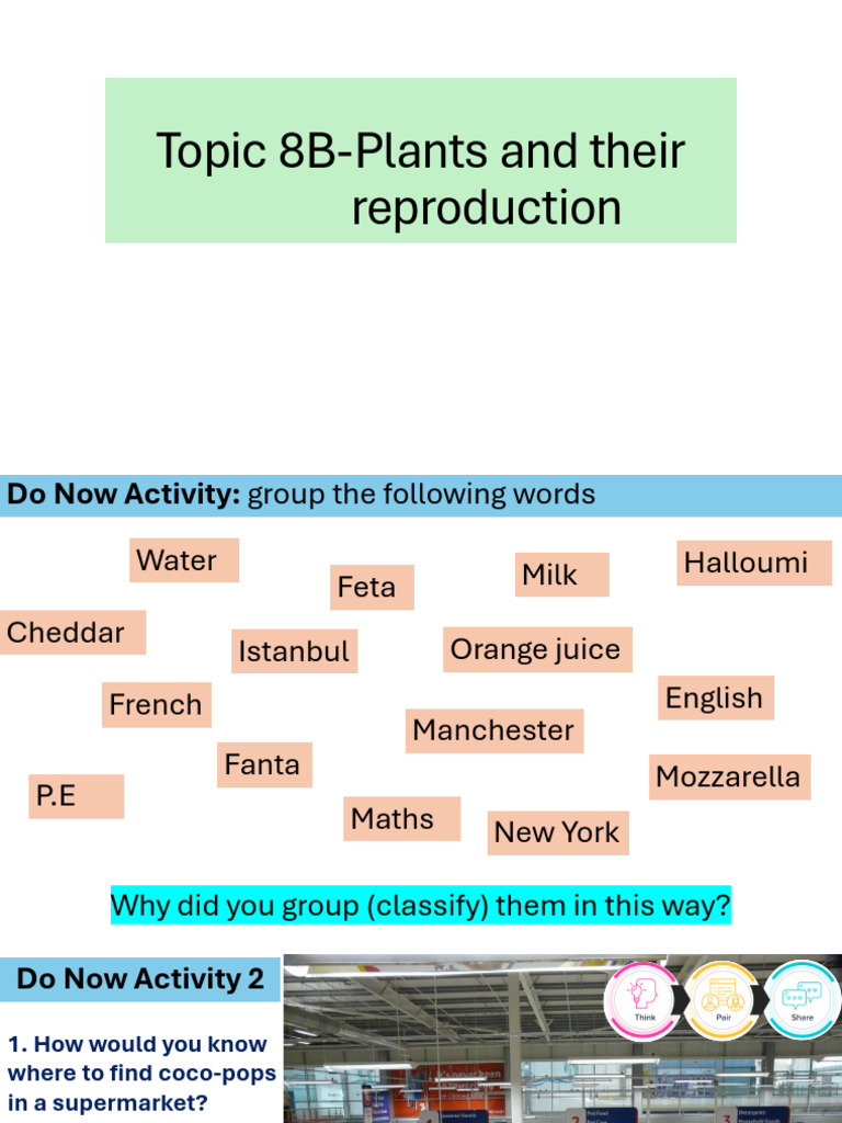Topic 8B (Plants) - Lesson 1 | PDF | Biodiversity | Cell (Biology)