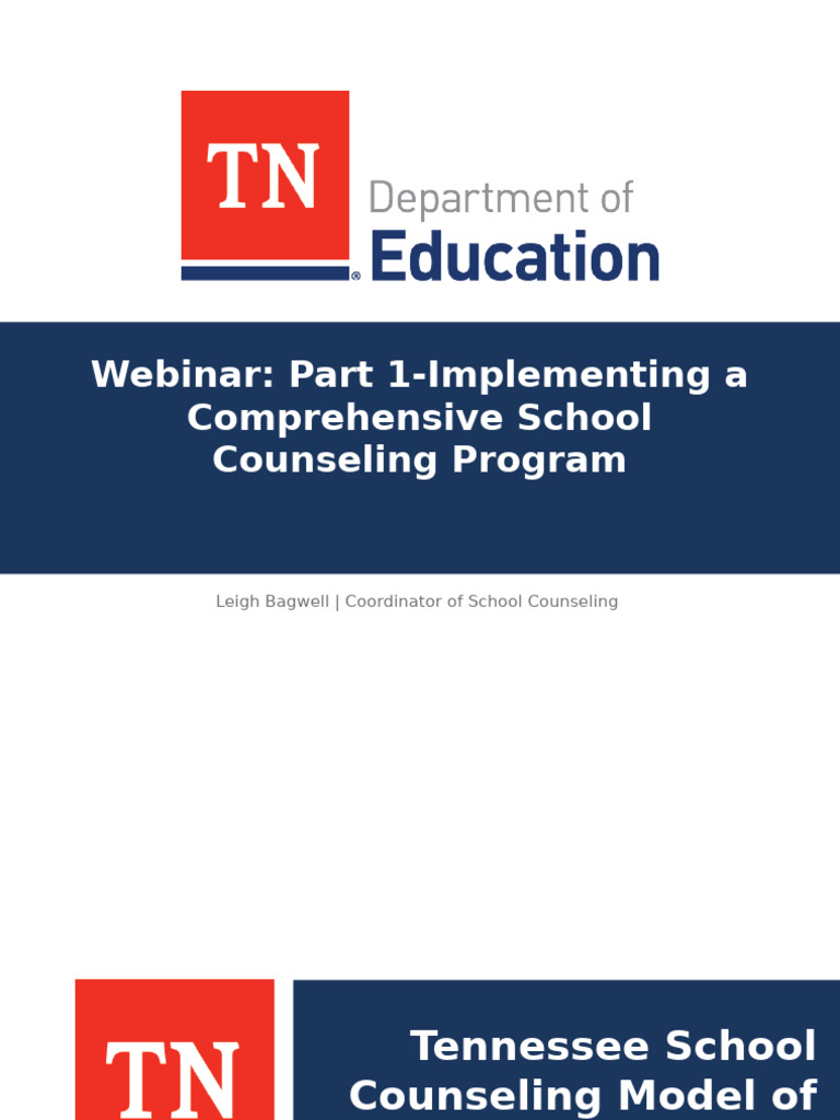 Comprehensive School Counseling Program Guide | PDF | School Counselor ...