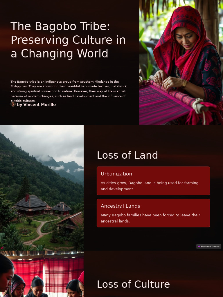 Bagobo Tribe: Culture and Costume Preservation | PDF