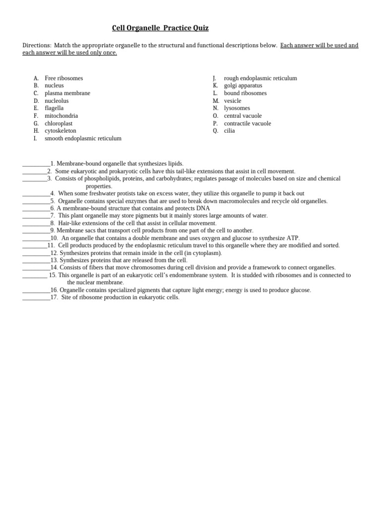 Cell Organelle Practice Quiz | PDF | Cell (Biology) | Organelle