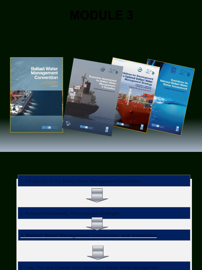 3 - CME BWM Convention Articles & Annex | PDF | Ozone | Water Purification