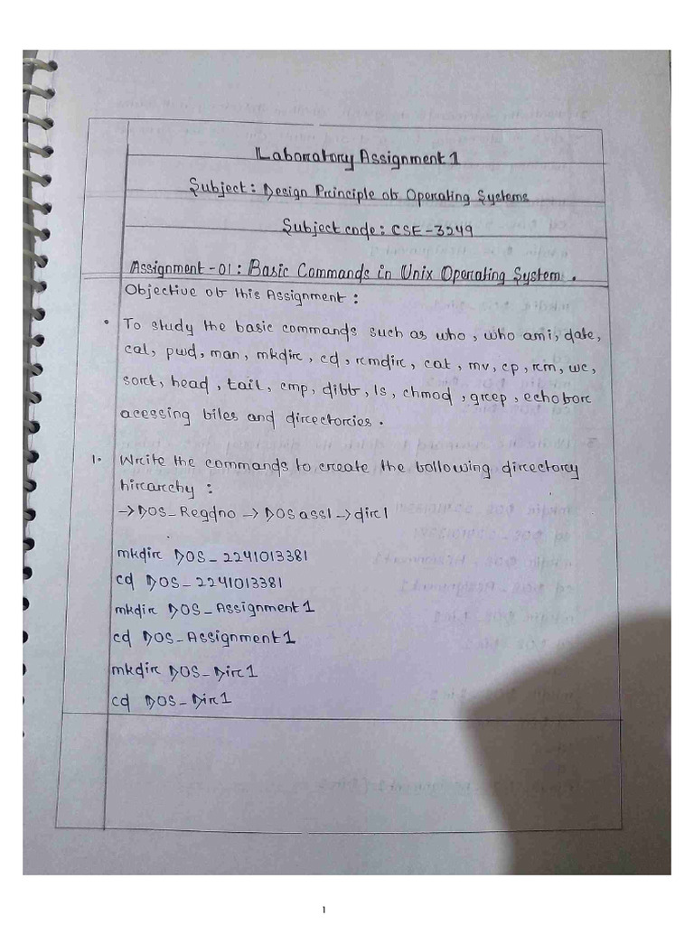 Dos Assignment Solution | PDF