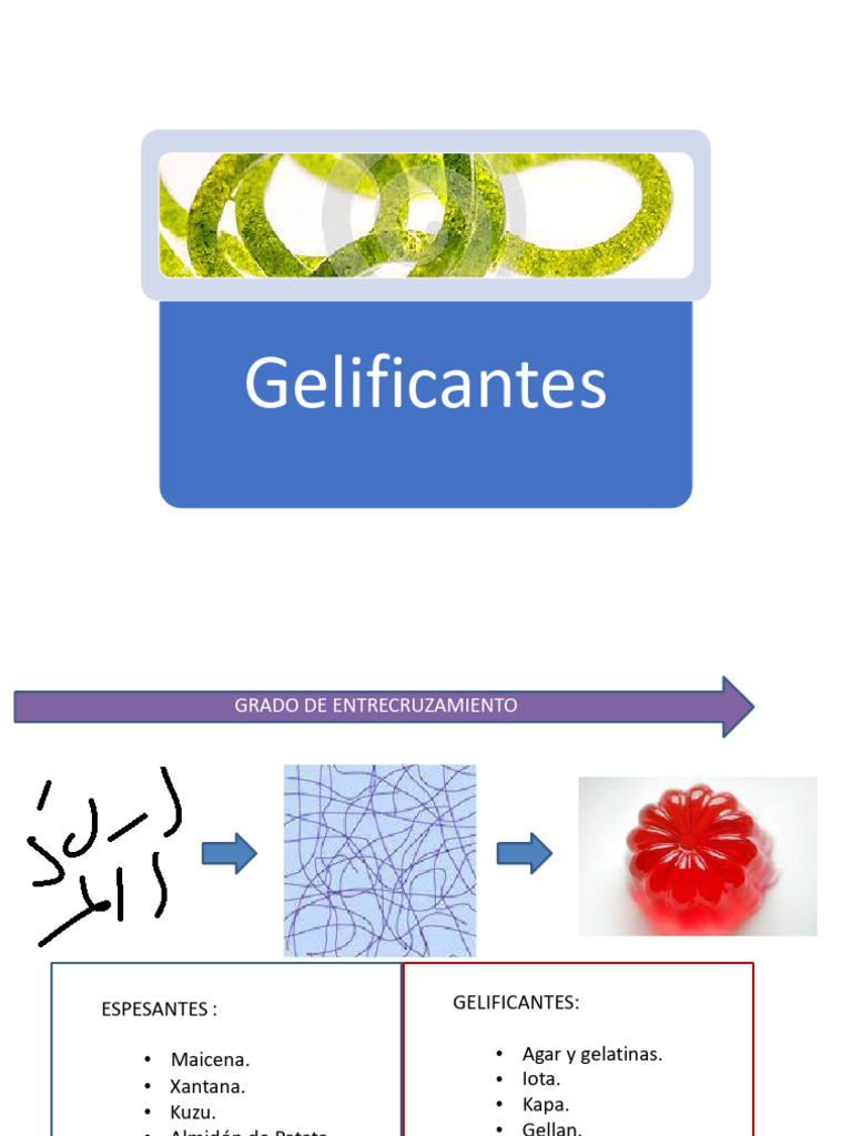 Gelificantes 1 | PDF | Agar | Gel