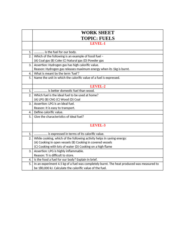 Worksheet Fuel | PDF