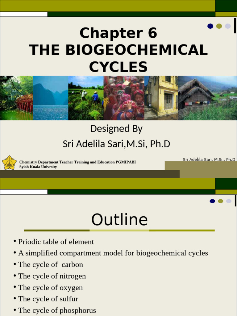 6 BIOGEOCHEMICAL CYCLE | PDF