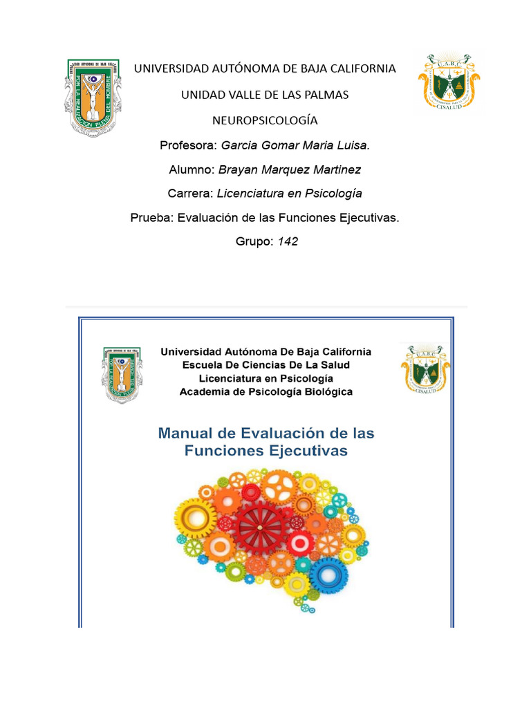 Informe - Neuropsicologico Brayan | PDF | Atención | Ciencia cognitiva