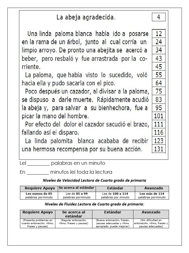 Niveles de Lectura y Actividades para 4° Grado | PDF | Escritura