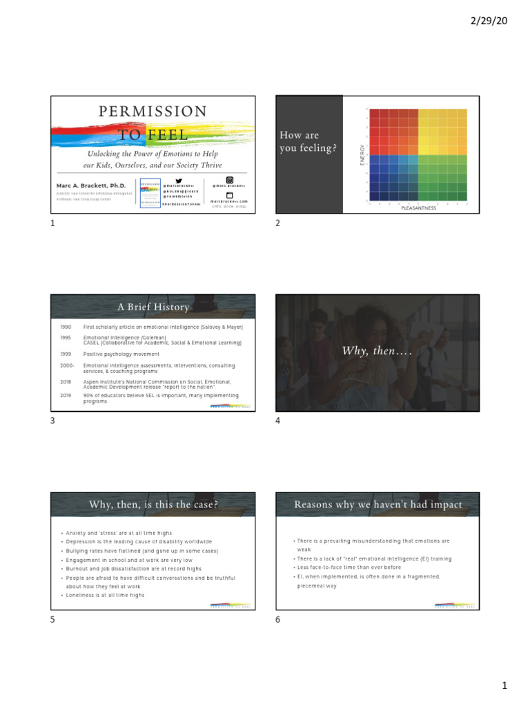 Marc Brackett Presentation Slides RULER Schools | PDF | Emotions ...