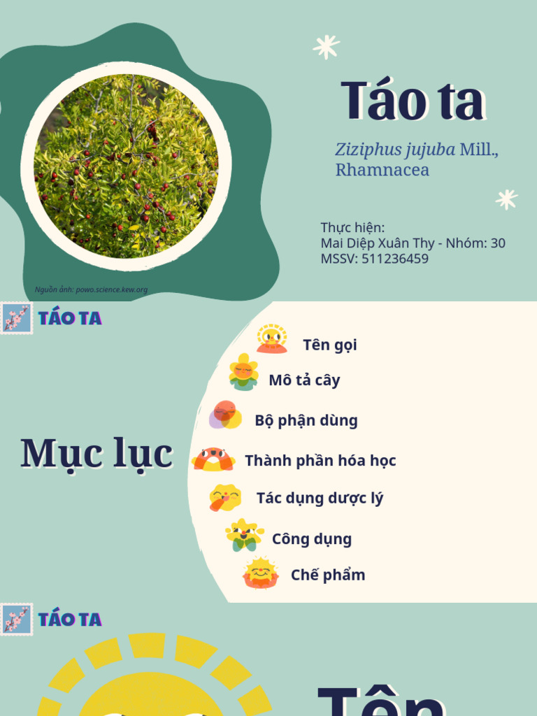 (NTDL) Táo Ta | PDF