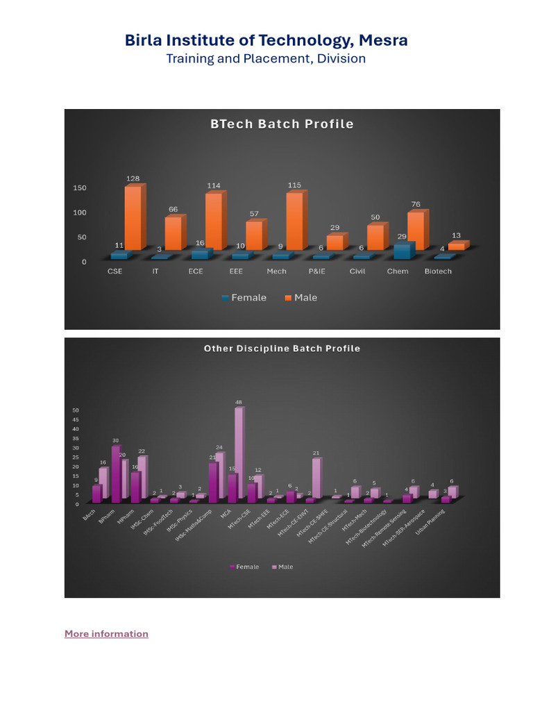 Batch Profile Placement 2024-25 | PDF