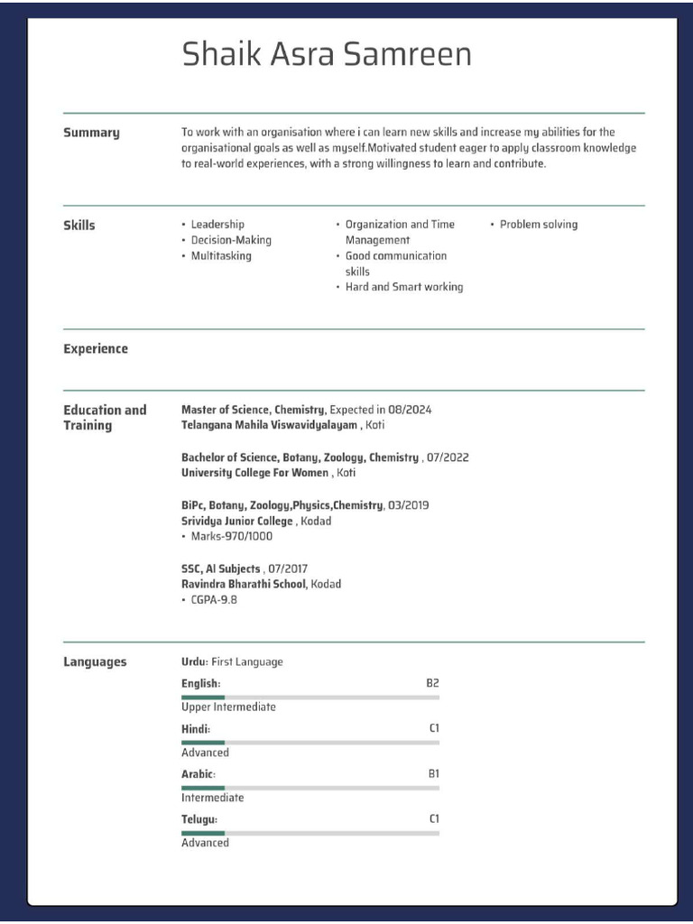 Asra Old Resume | PDF
