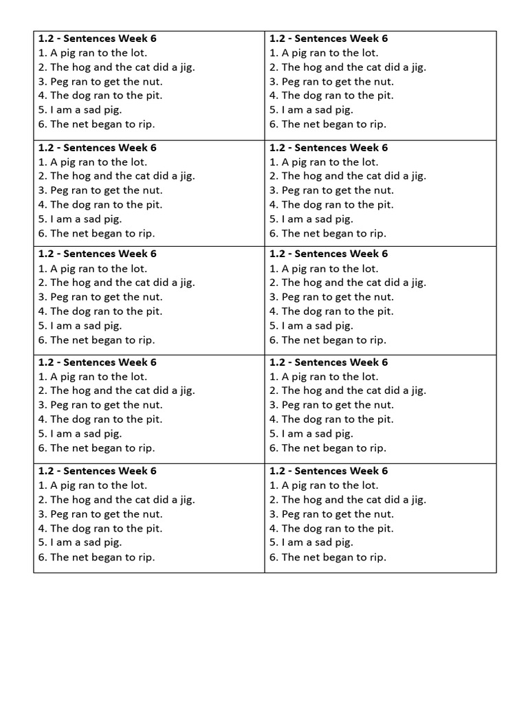 Week 6 Sentence Practice for Kids | PDF