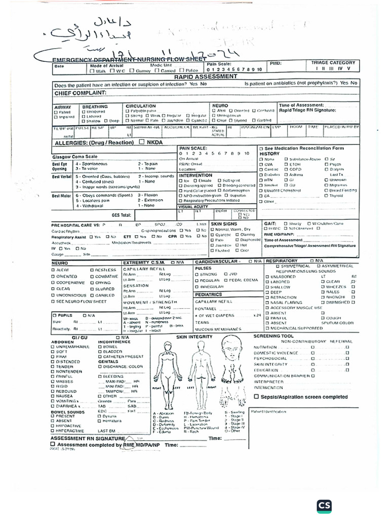 ER Nursing Flow Sheet | PDF