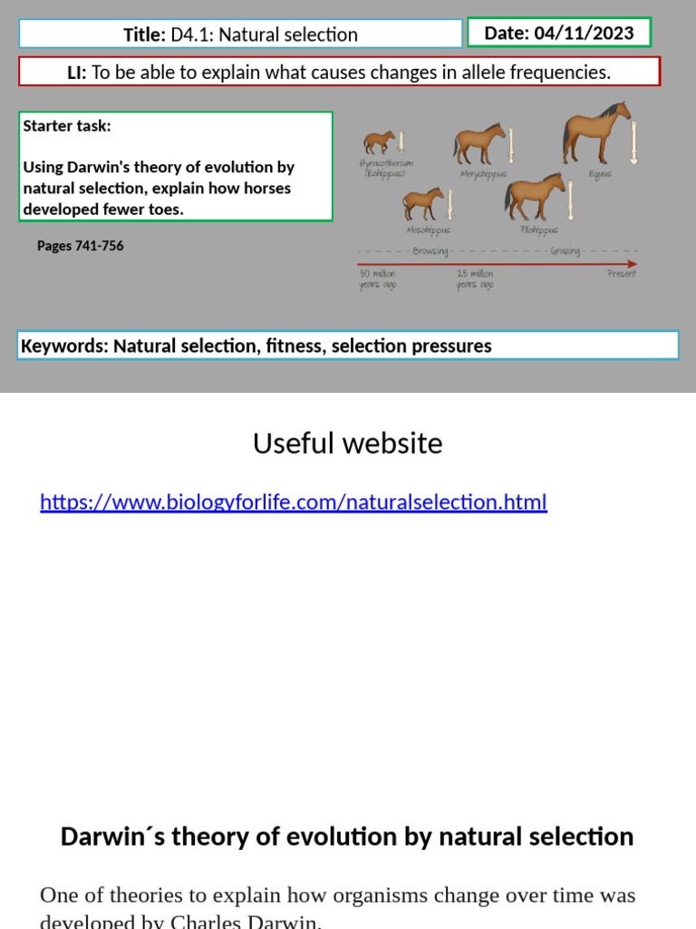 D4.1 Natural Selection | PDF | Dominance (Genetics) | Natural Selection