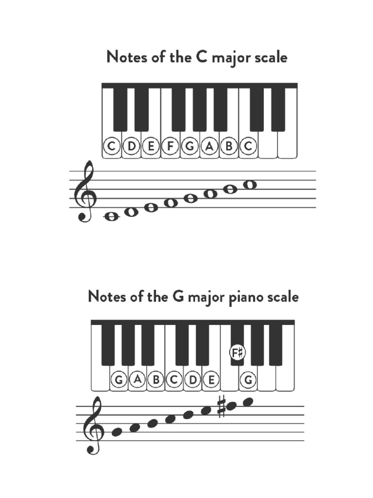 C and G Major Scales | PDF