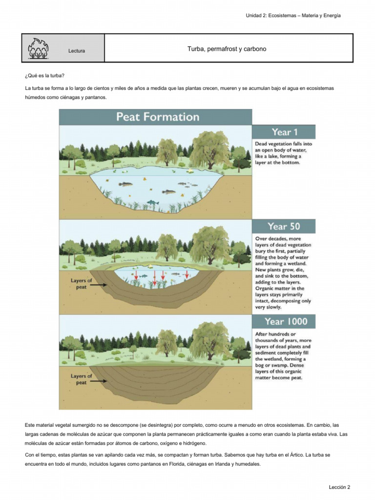 Turba y permafrost en el Ártico | PDF | Turba | Ártico