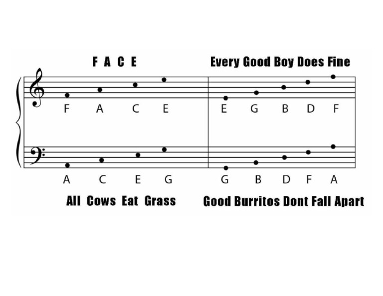 Note Recognition Guide | PDF