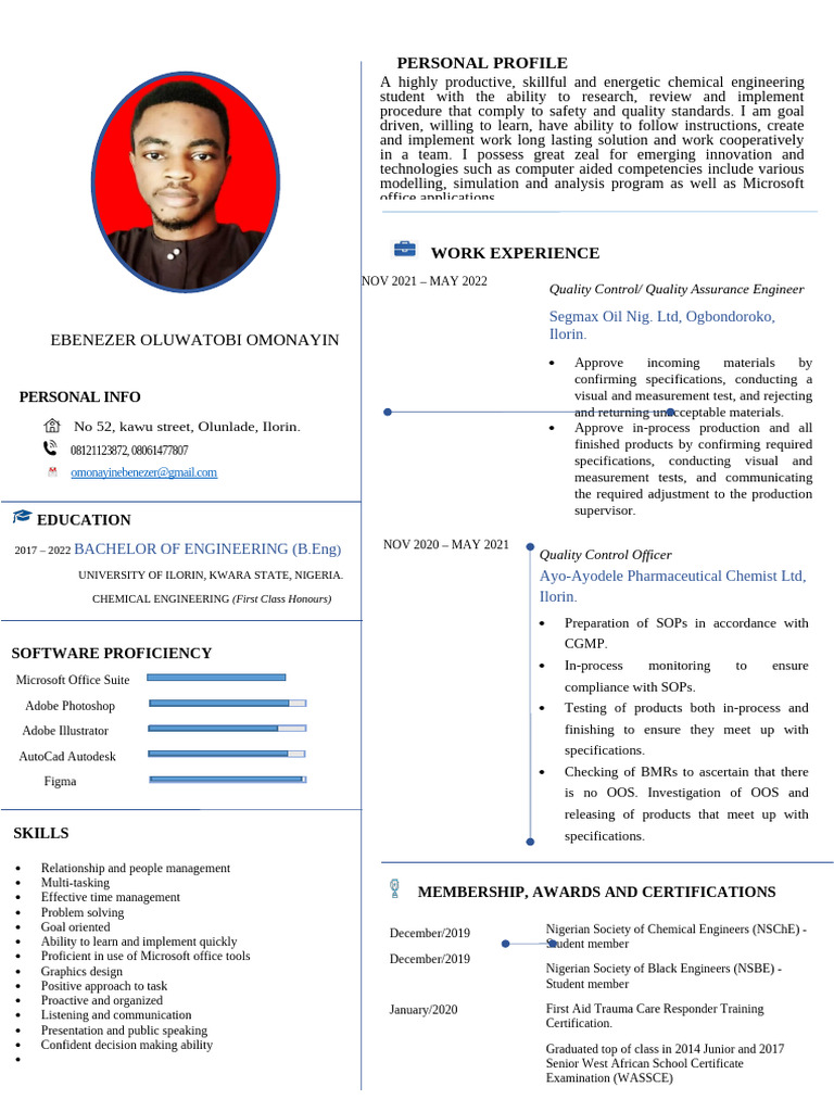 Professional Cv | PDF