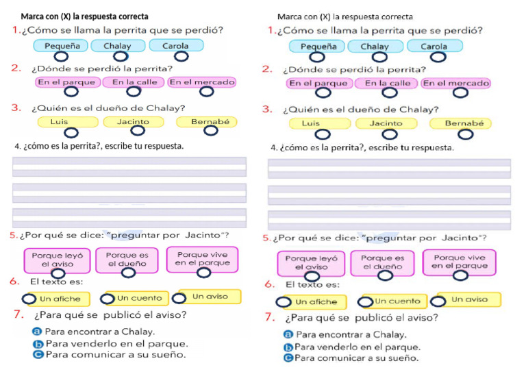 Aviso-Chalay - Preguntas de Comprension | PDF